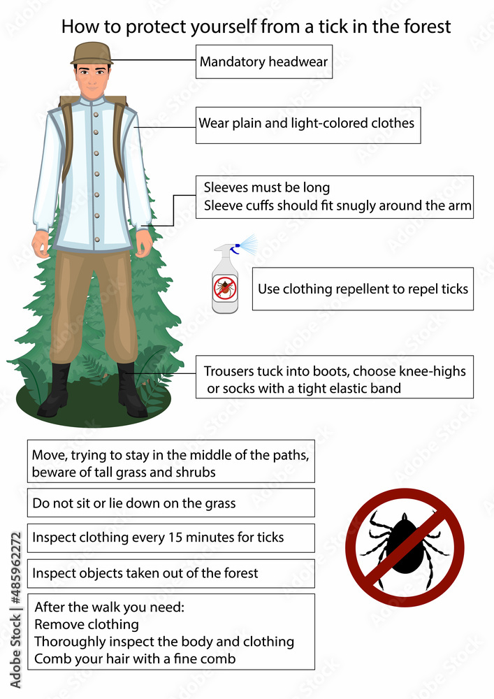 Instructions for protection against tick bites in the forest. Tick ...
