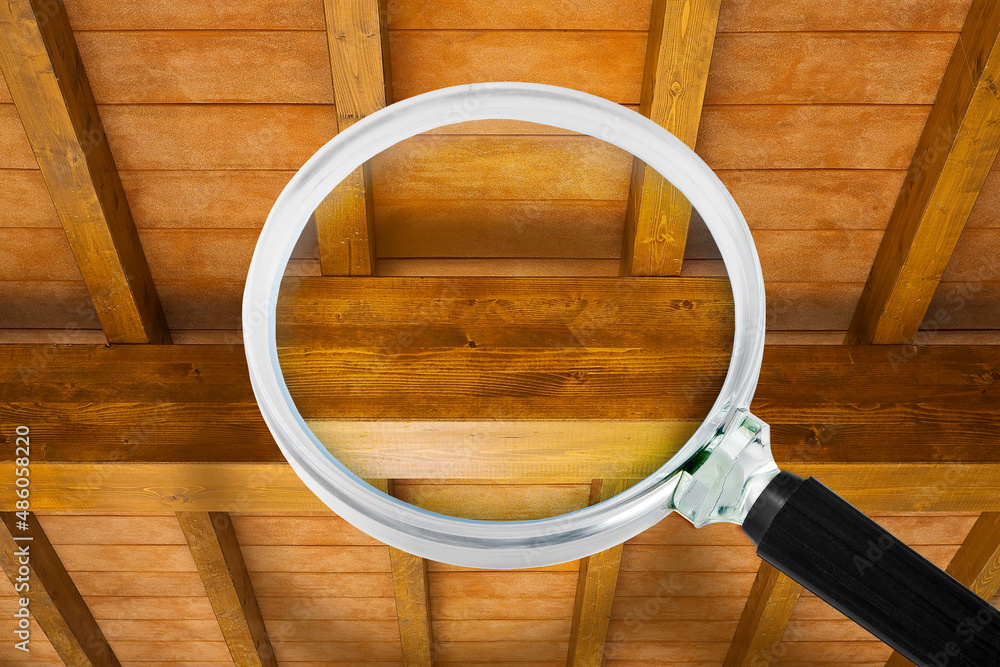 Care, maintenance and surveillance of wooden structures. New wooden ...