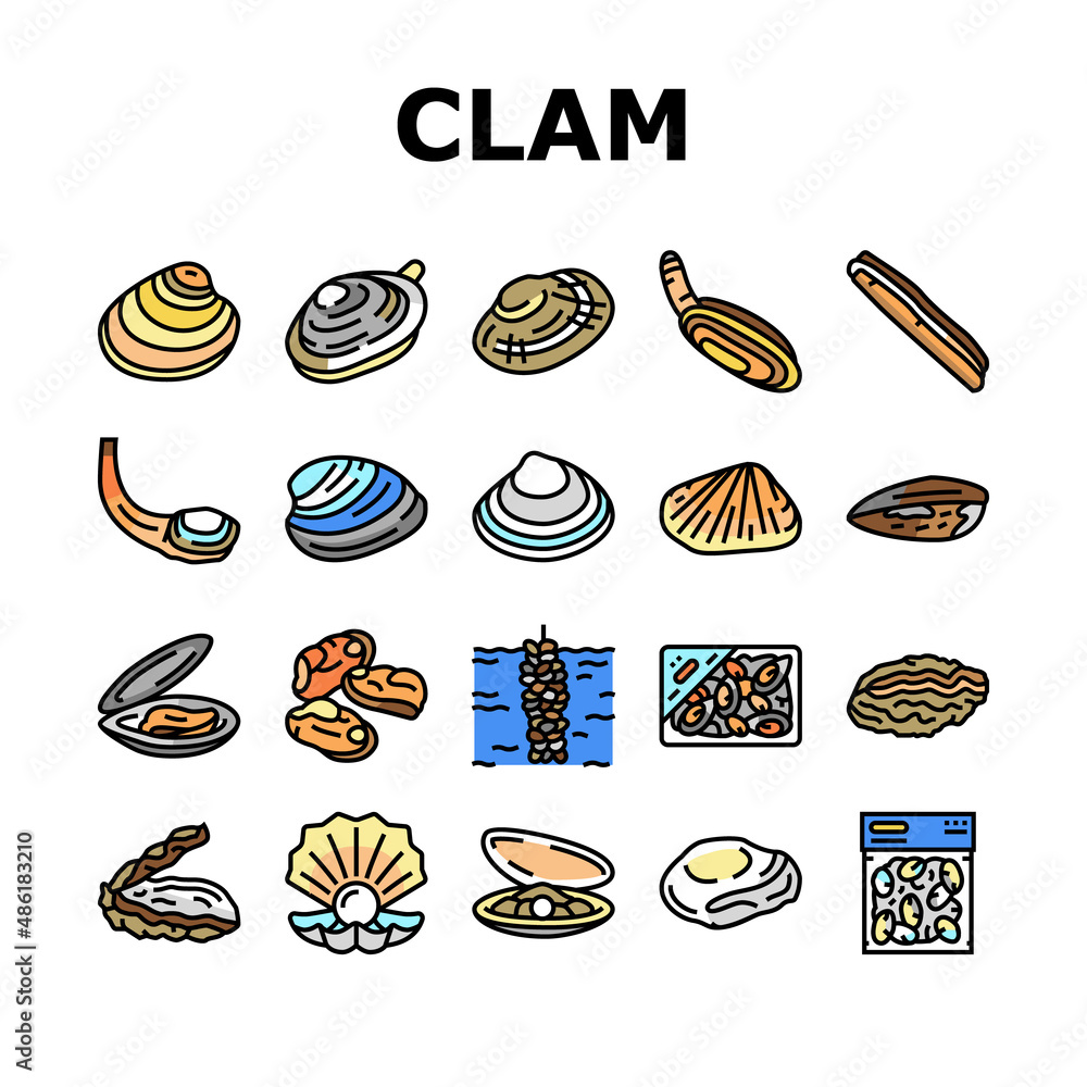 Clam Marine Sea Farm Nutrition Icons Set Vector. Ocean Quahog And Surf ...