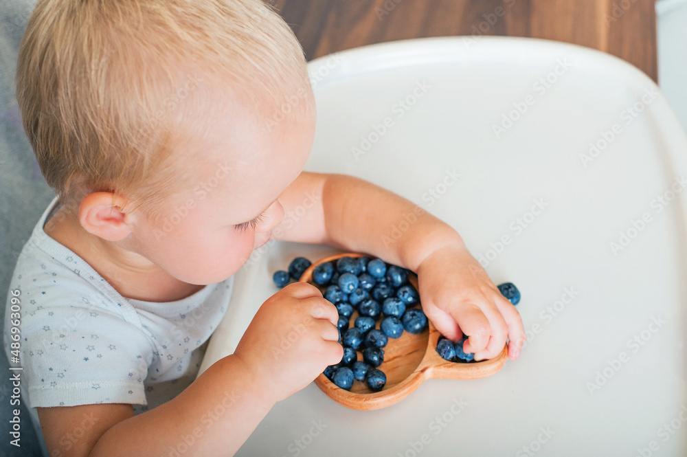 Blonde toddler boy eating Yummy blueberries wooden spoon on highchair ...