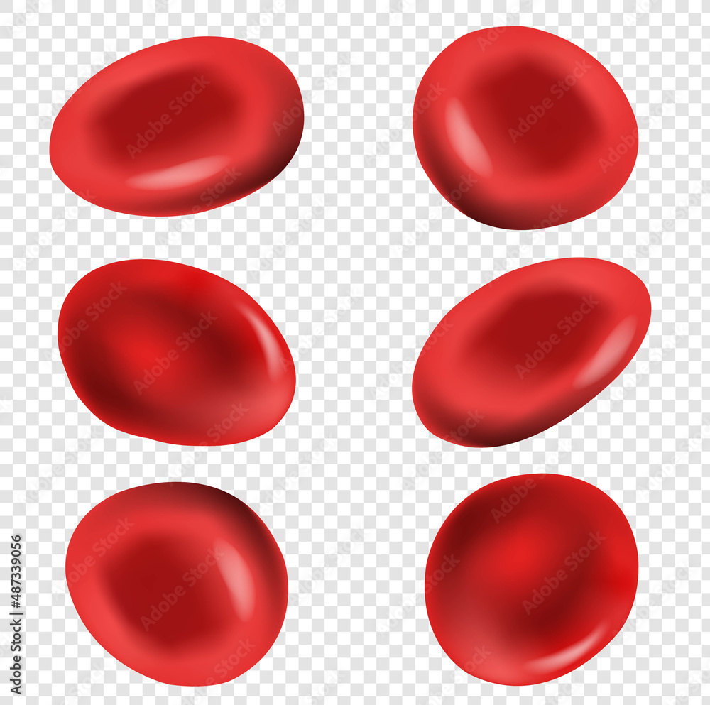 Red Blood Cells With Transparent Background With Gradient Mesh, Vector ...
