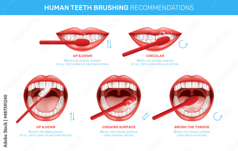 Brushing Teeth Realistic Infographics Stock Vector | Adobe Stock