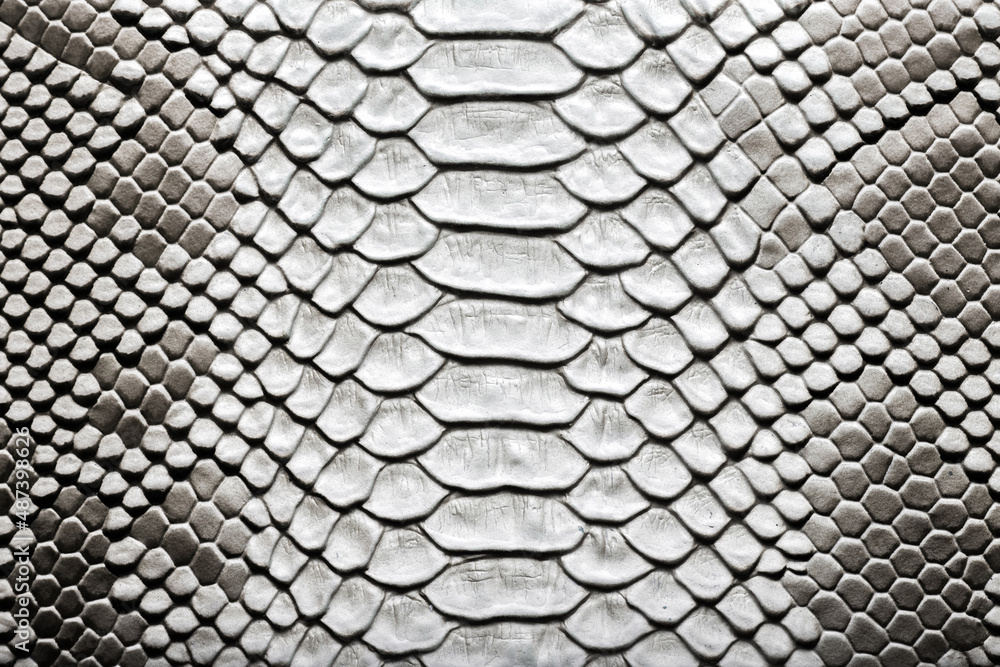 Beautiful white bright python skin, reptile skin texture, multicolored ...