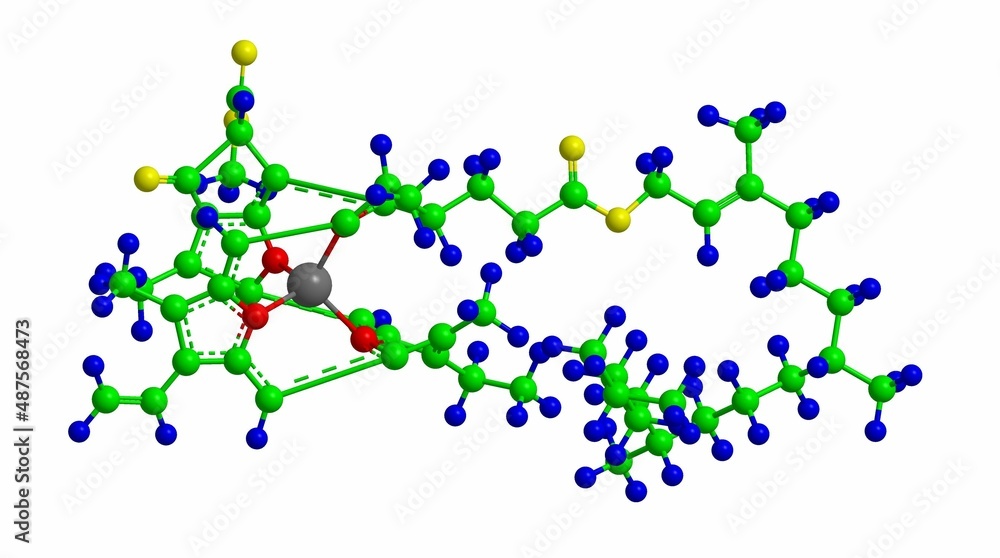 Chlorophyll - molecular structure, 3D rendering Stock Illustration ...