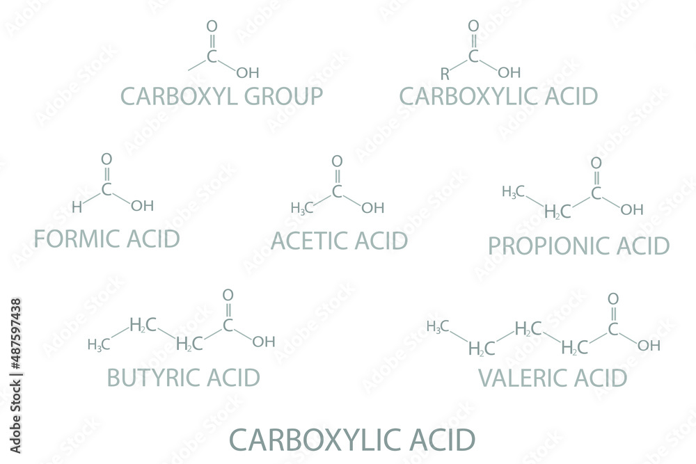 Carboxylic acid molecular skeletal chemical formula. Stock Vector | Adobe Stock