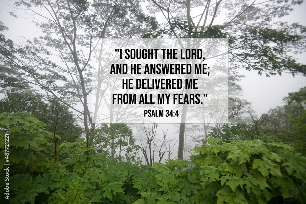 Bible verse inspirational quote - I sought the lord, and He answered me ...