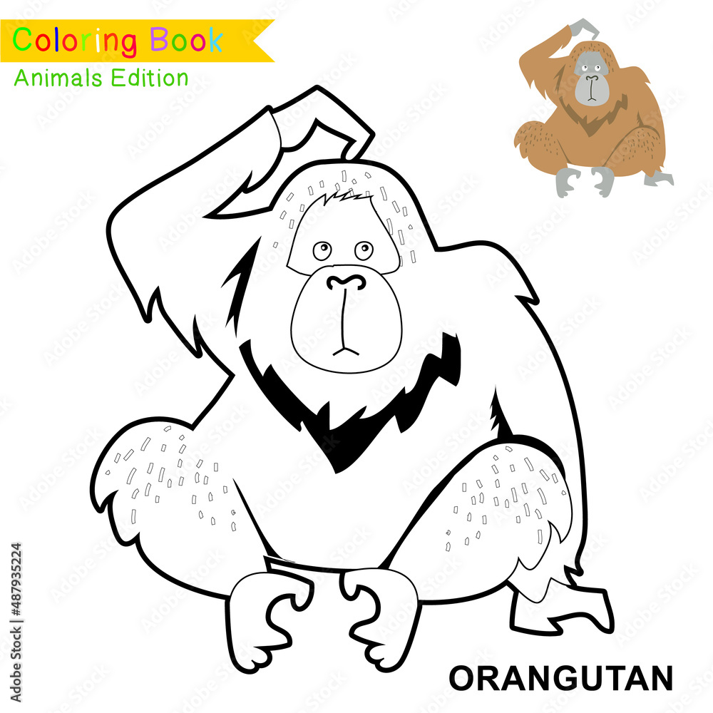 Children coloring page of animal kingdom. Kids art activity page. Funny ...