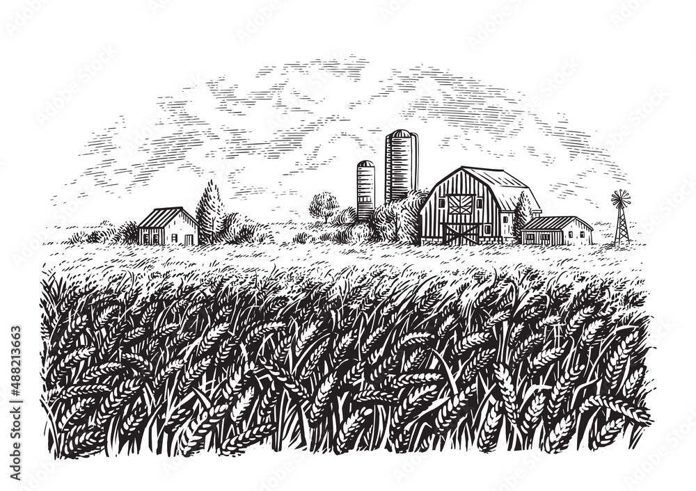 field hand drawing sketch engraving illustration style hand drawing ...