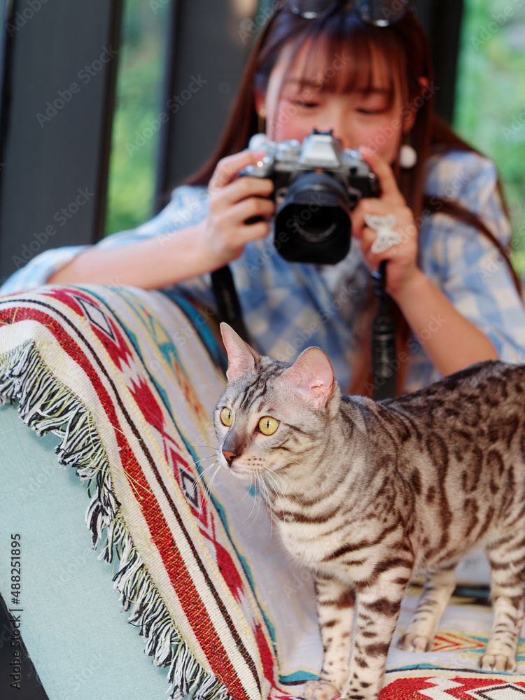 Young Asian woman sitting on sofa and taking photos for her tabby cat ...
