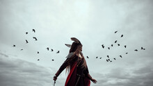 Amazon, Valkyrie, Warrior, Cosplay, Free Stock Photo - Public Domain ...
