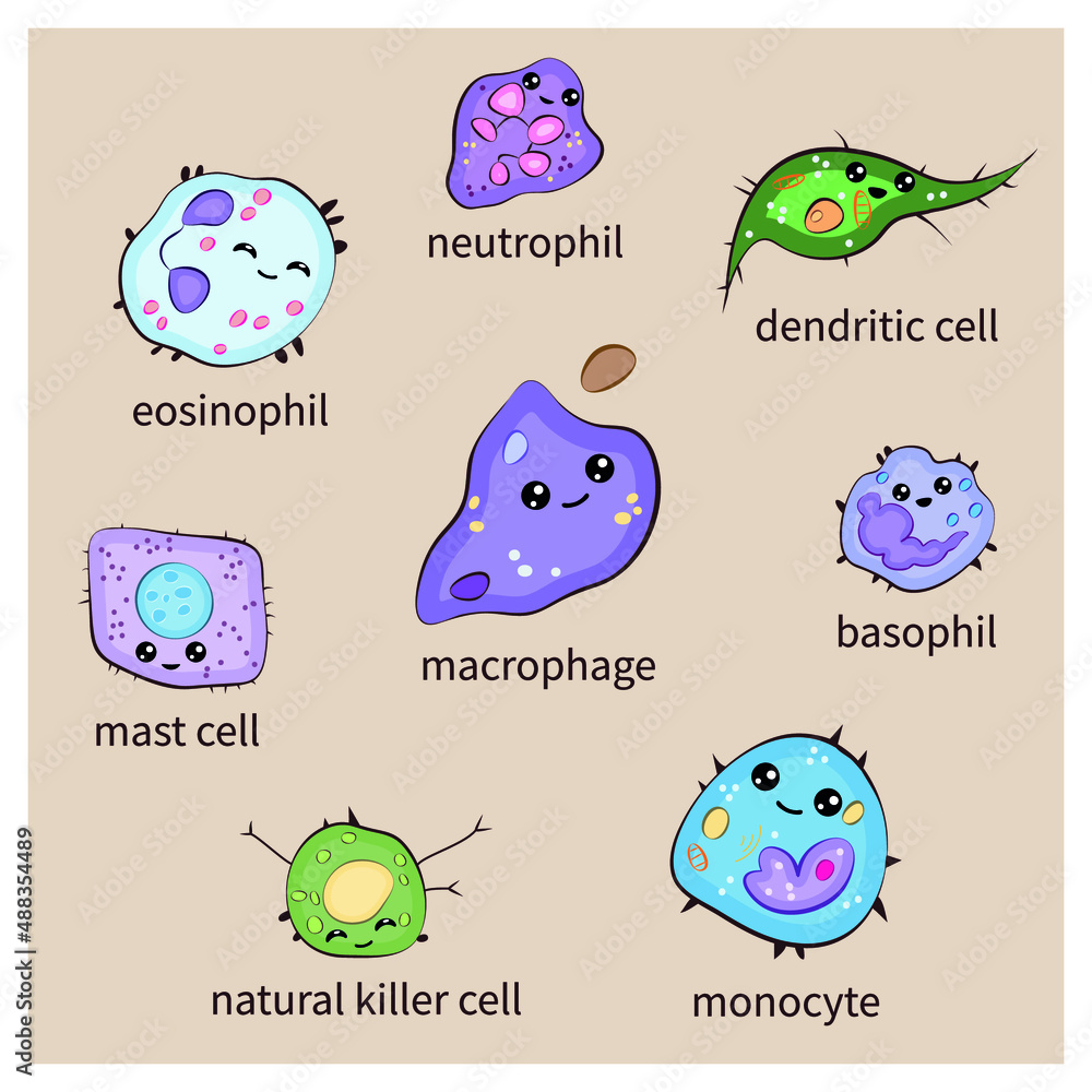 Set of innate immune system cells, cartoon cute funny vector ...