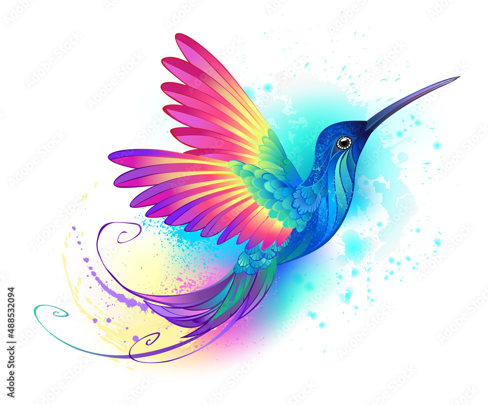 Vector de Stock Exotic rainbow hummingbird | Adobe Stock