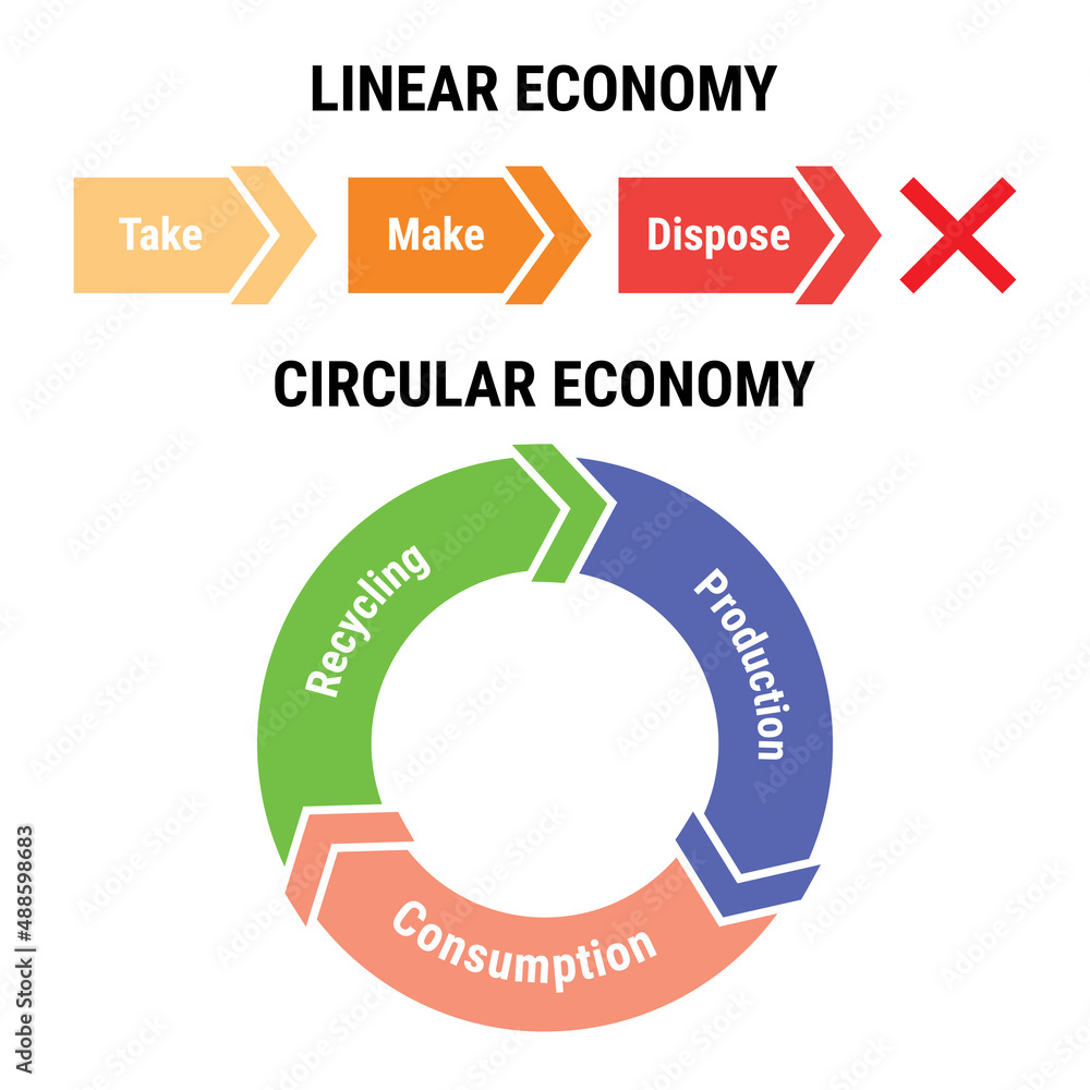 Comparison of linear and circular economy infographic. Sustainable ...