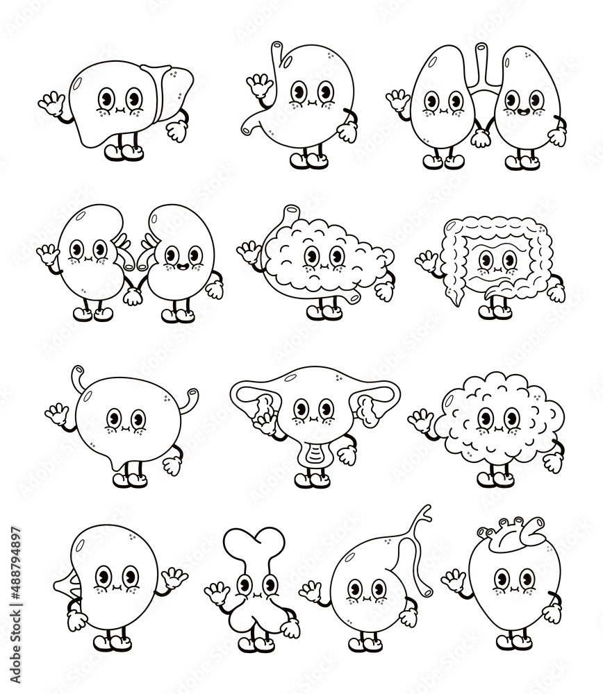 Happy human internal organs. Cartoon heart, liver, stomach, lungs ...