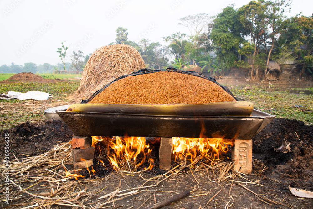 Paddy-boiled Bangladeshi Traditional Scenery. boiled in a silver pan ...