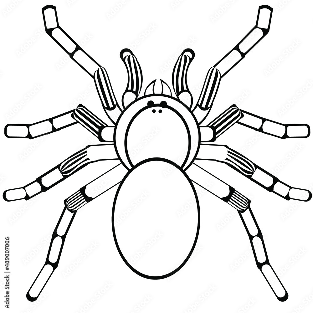 Black and white drawing of a Tarantula for coloring. Spooky poisonous ...