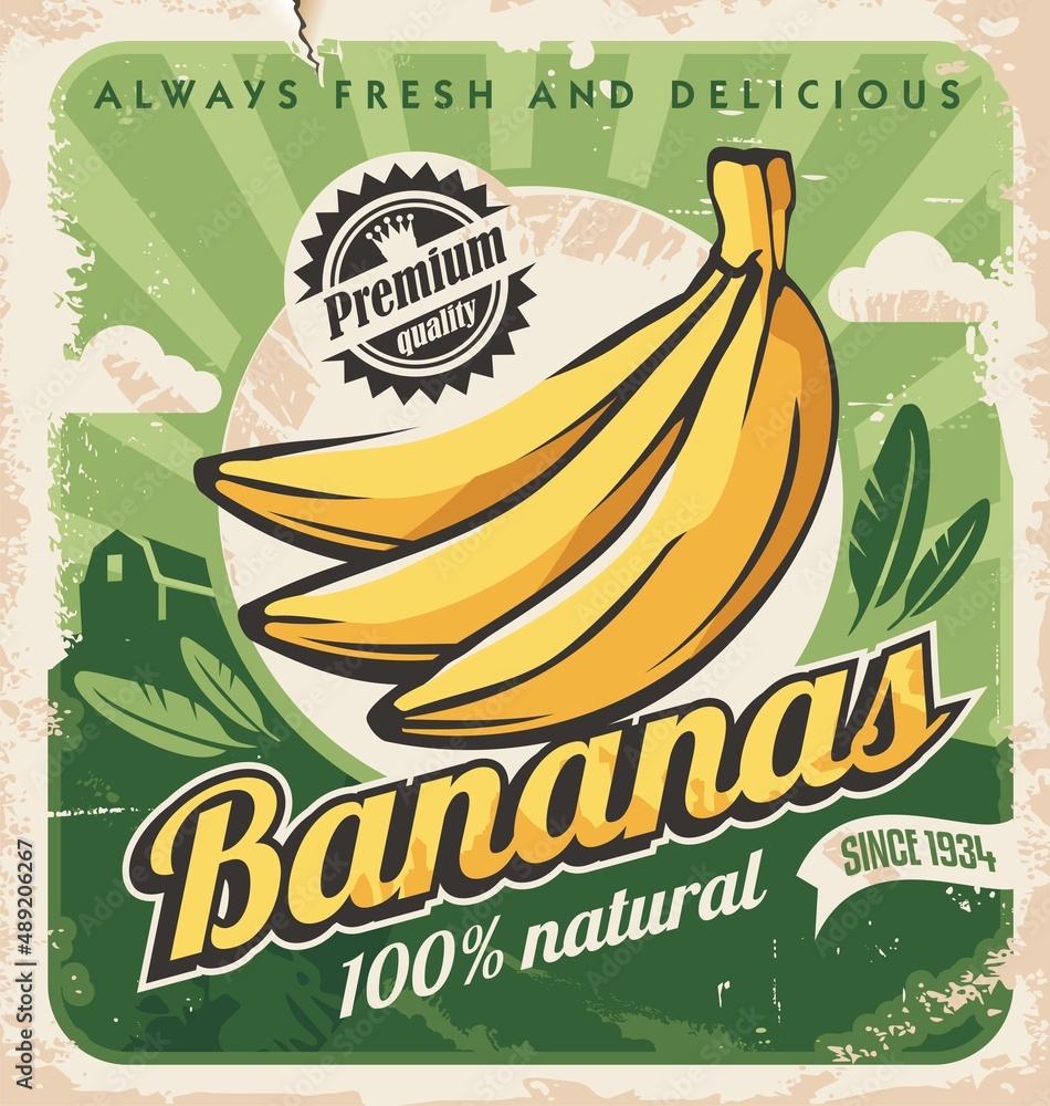 Banana plantation retro poster design on old paper texture. Vintage ...
