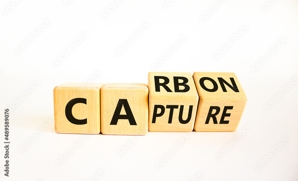 Carbon capture symbol. Turned wooden cubes and changed the concept word ...