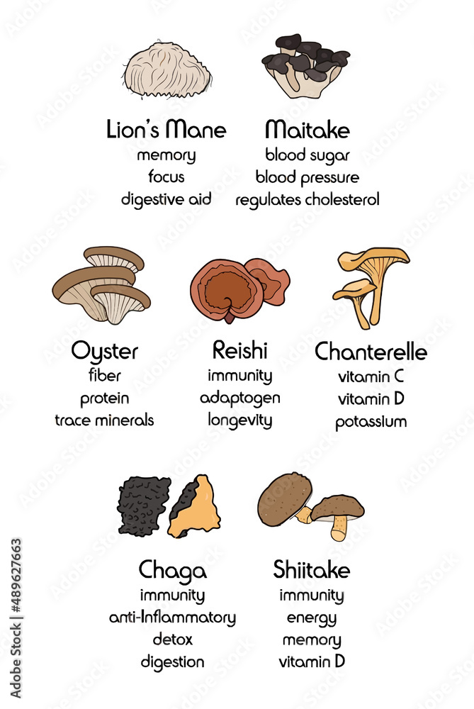 Assorted Mushroom Drawing Aesthetic, Mold Spore Vector Outline, Fungus ...