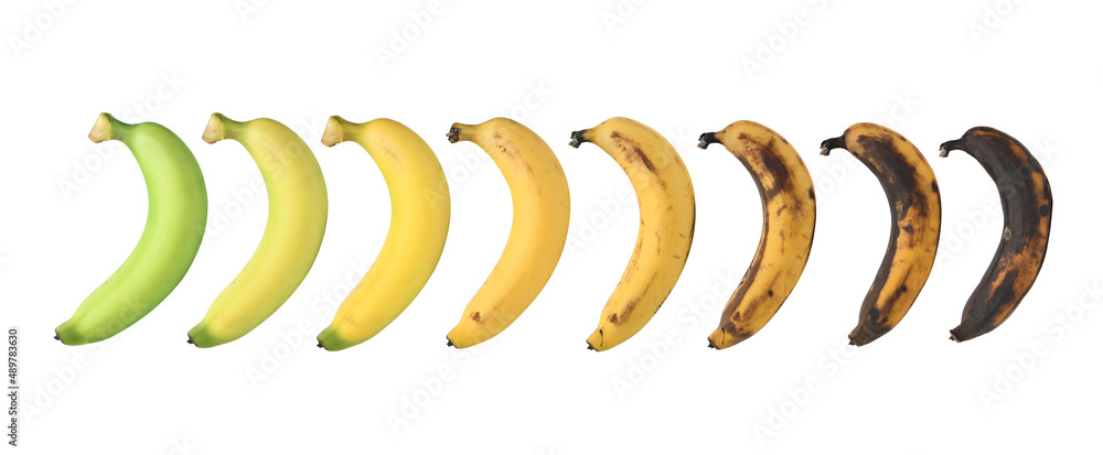 Ripening stages of banana isolated on white background. Stock Photo ...