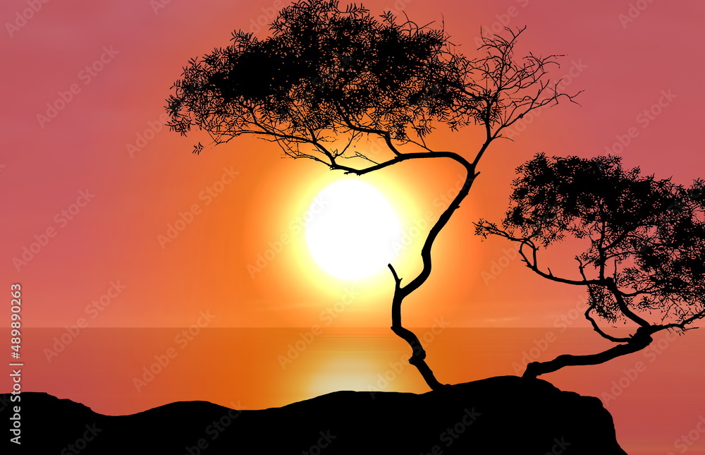 sunset tree silhouette