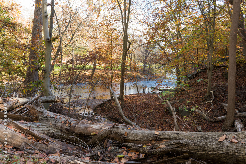 Hiking trail along the river, Rock Creek Park, Washington DC Stock ...