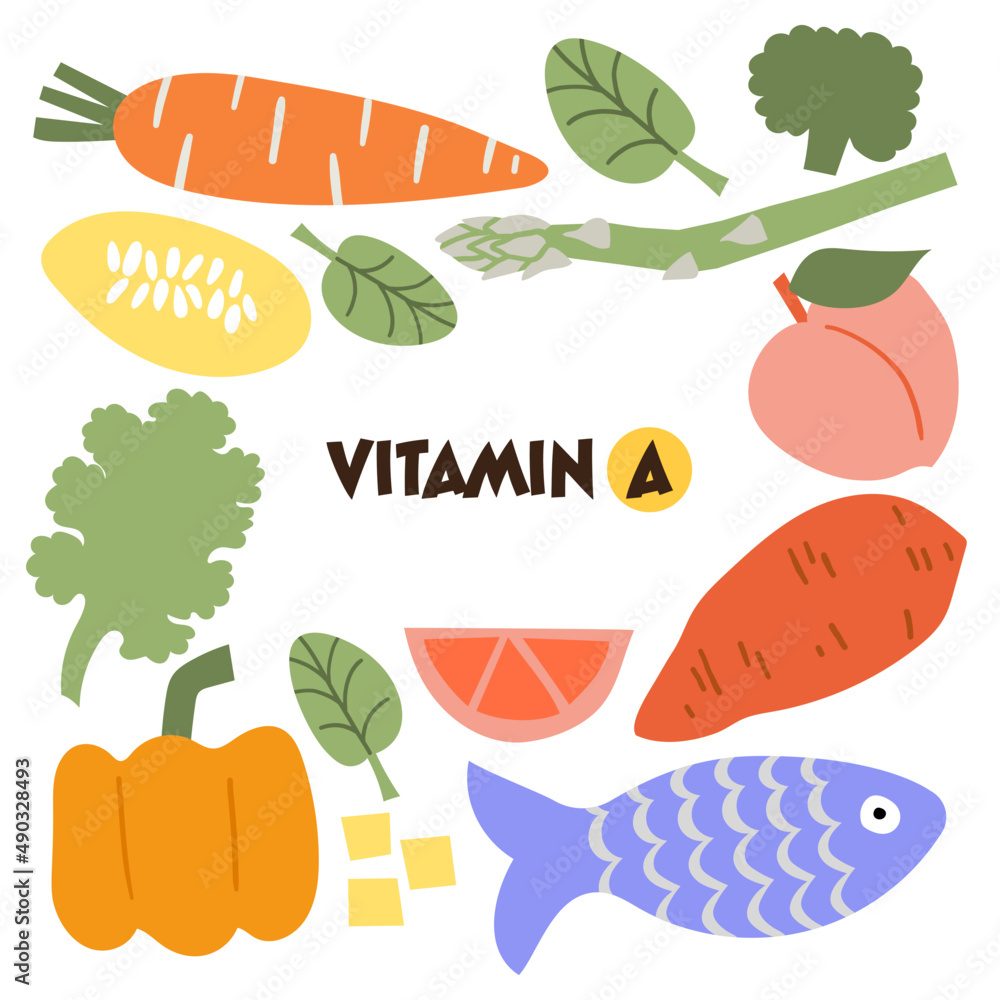 Sources of Vitamin A. High Vitamin A Foods. Vector hand drawn ...