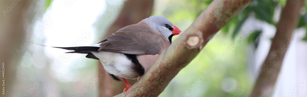 Foto Butterfly World is located in Tradewinds Park in Coconut Creek ...