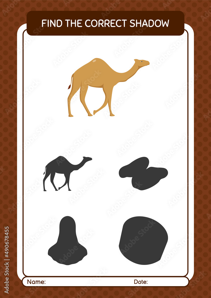 Find the correct shadows game with camel. worksheet for preschool kids ...
