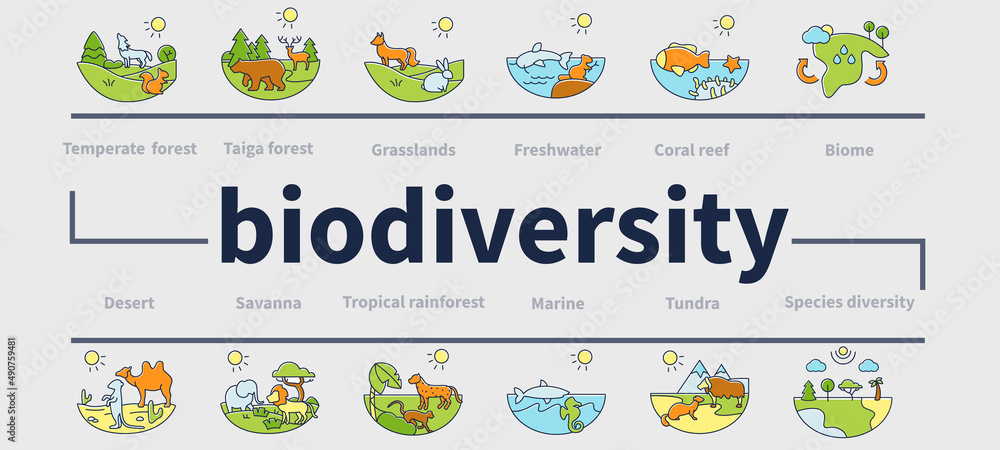 Стоковий вектор Biodiversity ecosystem vector infographics. Consists of ...