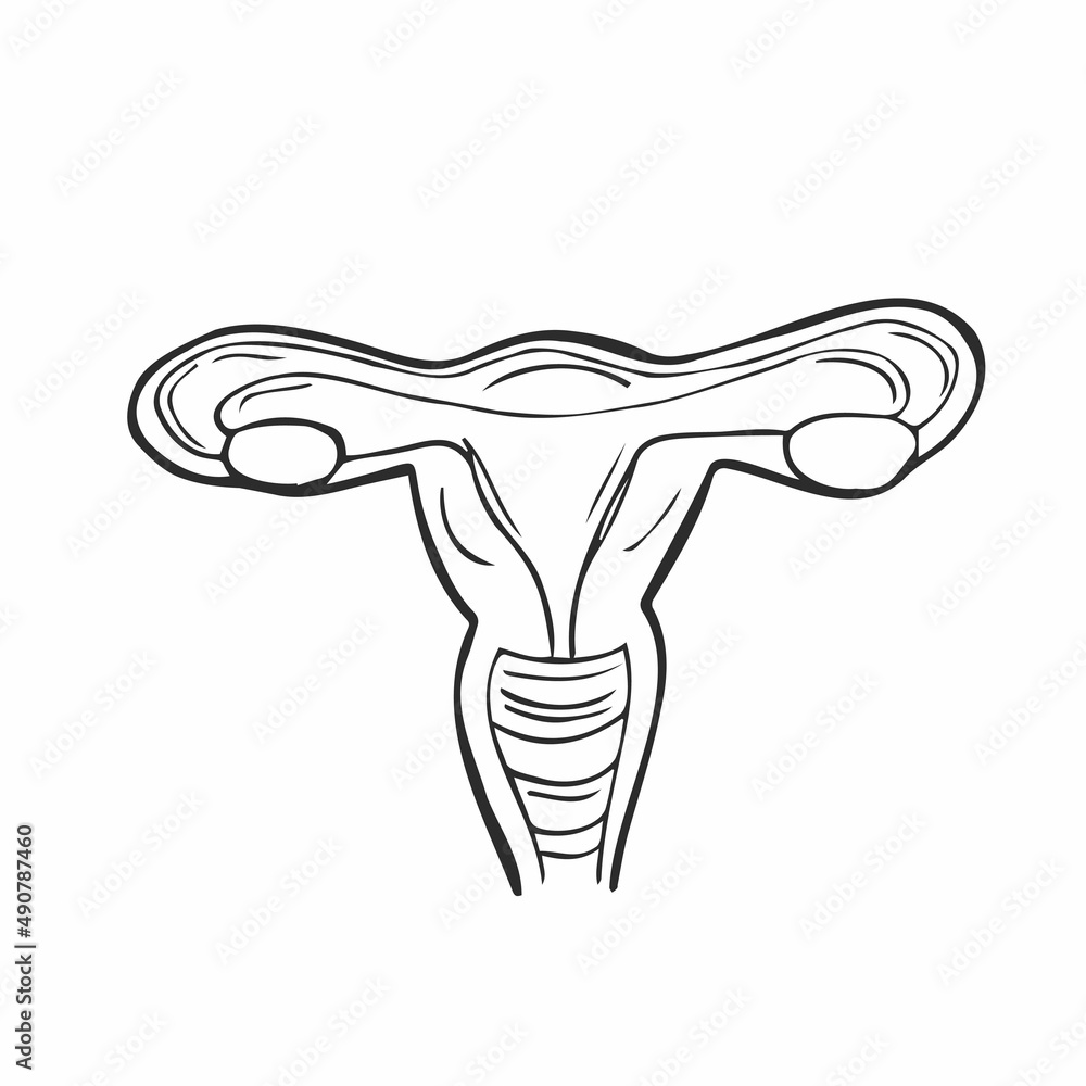 Reproductive Female Icon Silhouette Illustration. Uterus Vector Graphic ...