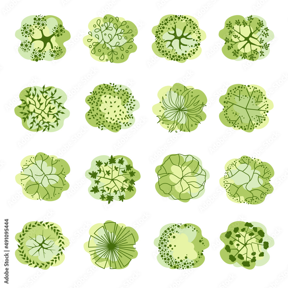 Trees for the master plan. Tree for architectural floor plans ...