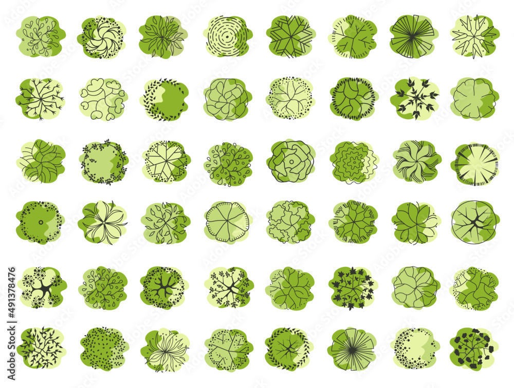 Trees for the plan. Tree for architectural floor plans. Entourage ...