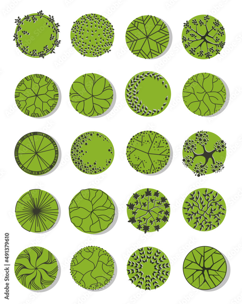 Trees for the plan. Tree for architectural floor plans. Entourage ...