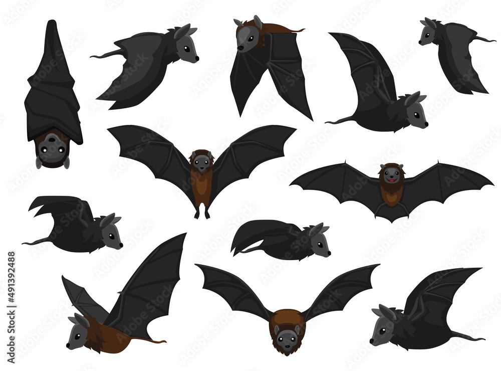 Various Bat Flying Foxes Cute Cartoon Vector Illustration Stock Vector ...