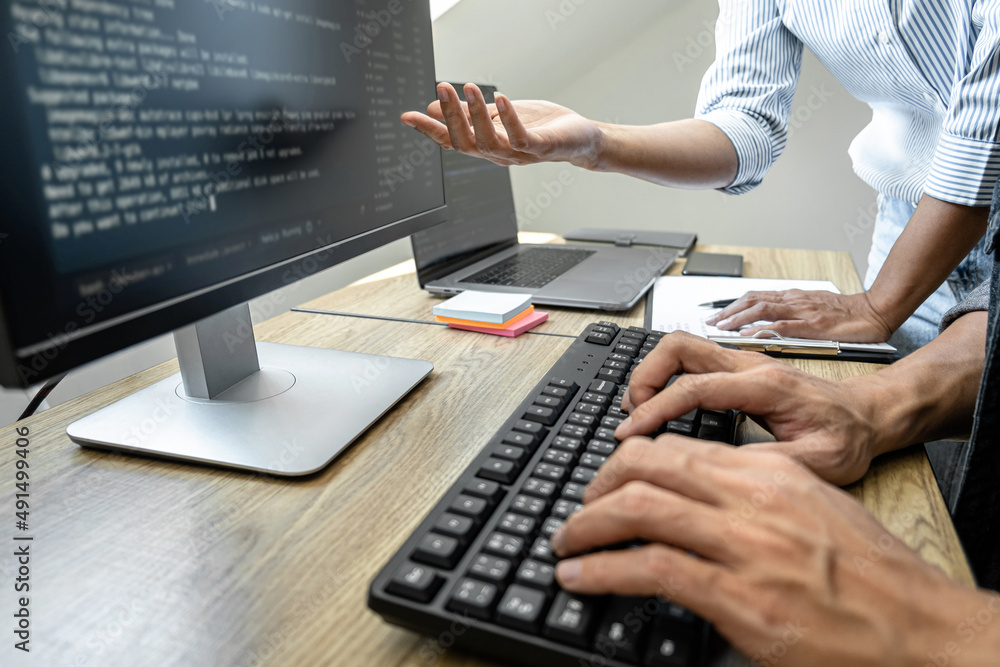 Programmer Team of Developing programming and website working in a software develop company ...