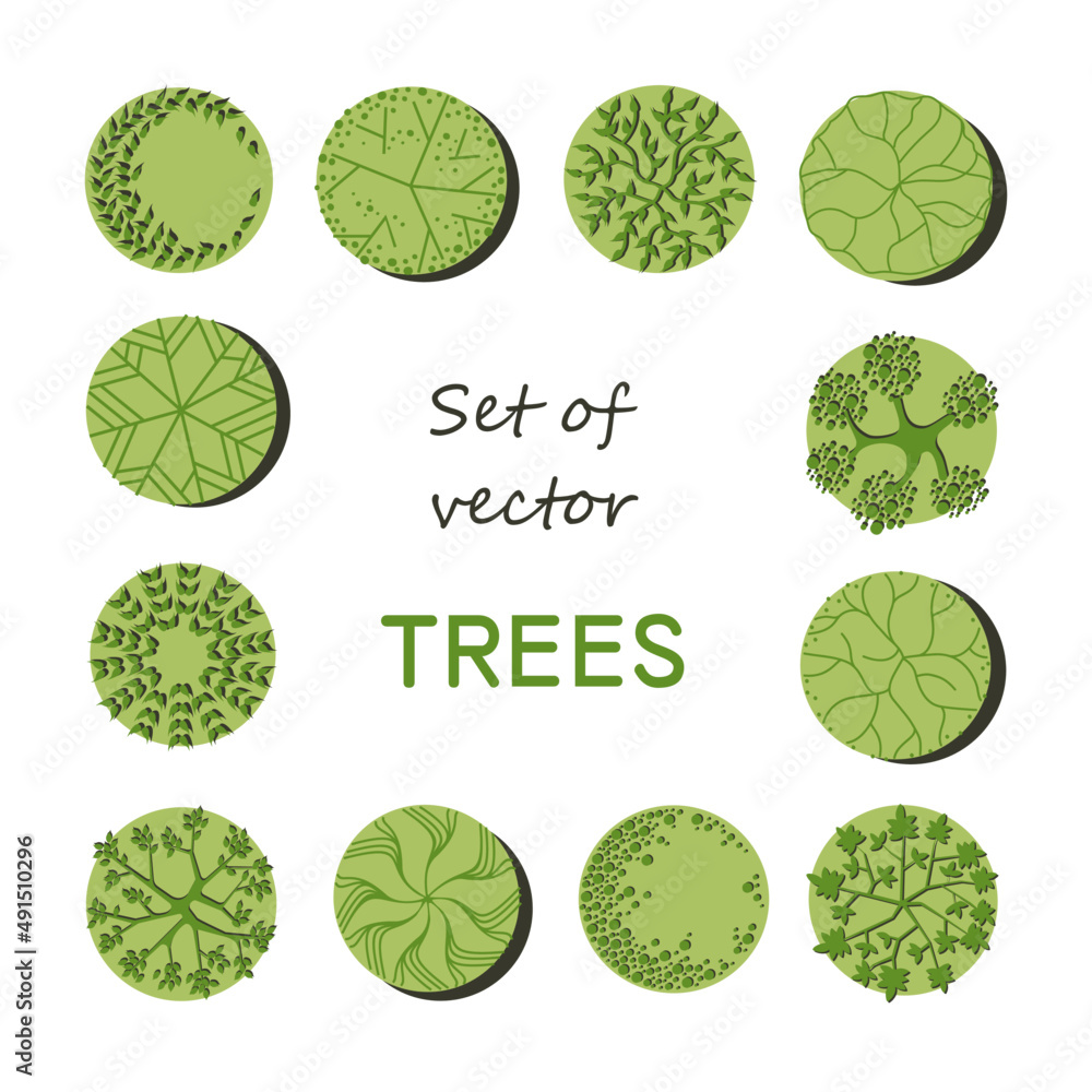 Trees for the master plan. Tree for architectural floor plans ...