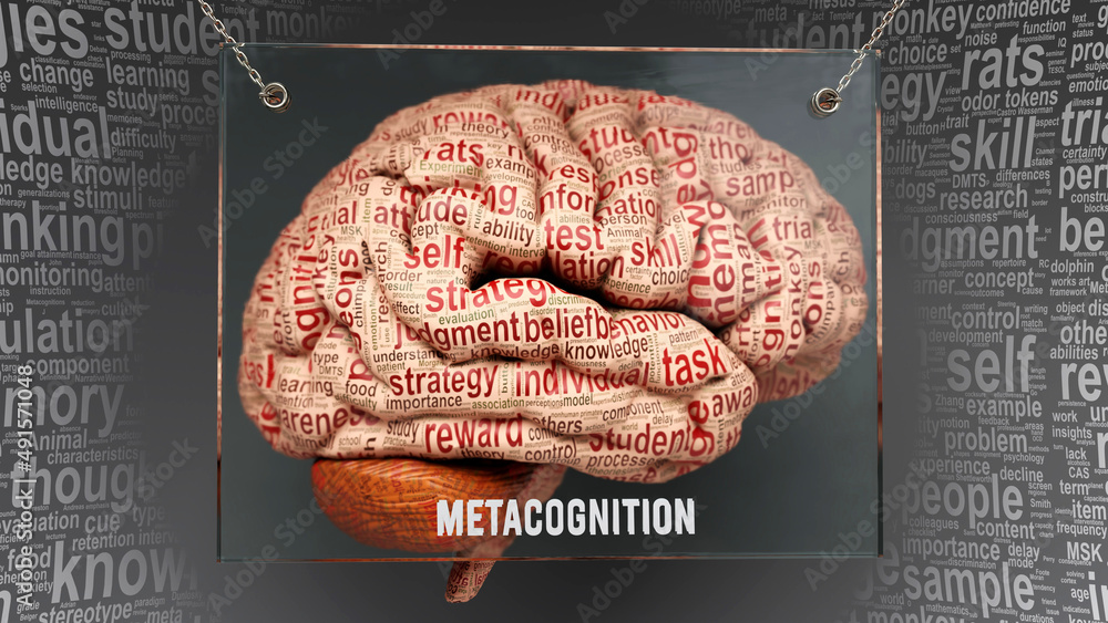 Metacognition anatomy - its causes and effects projected on a human ...