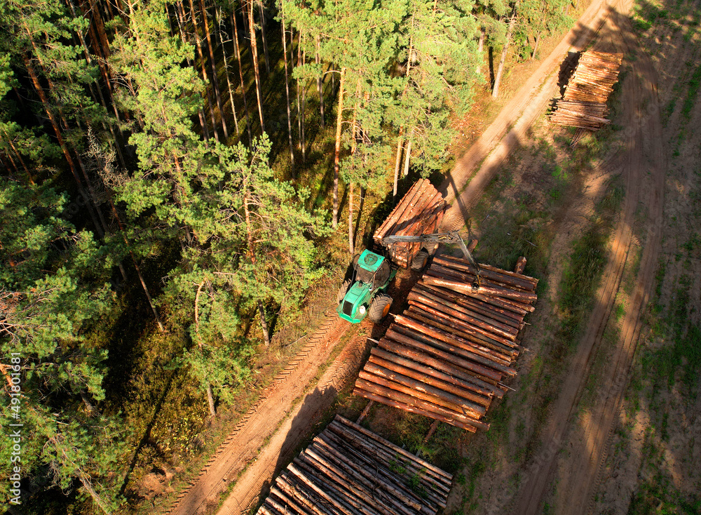 Crane forwarder machine during clearing of forested land. Wheeled ...