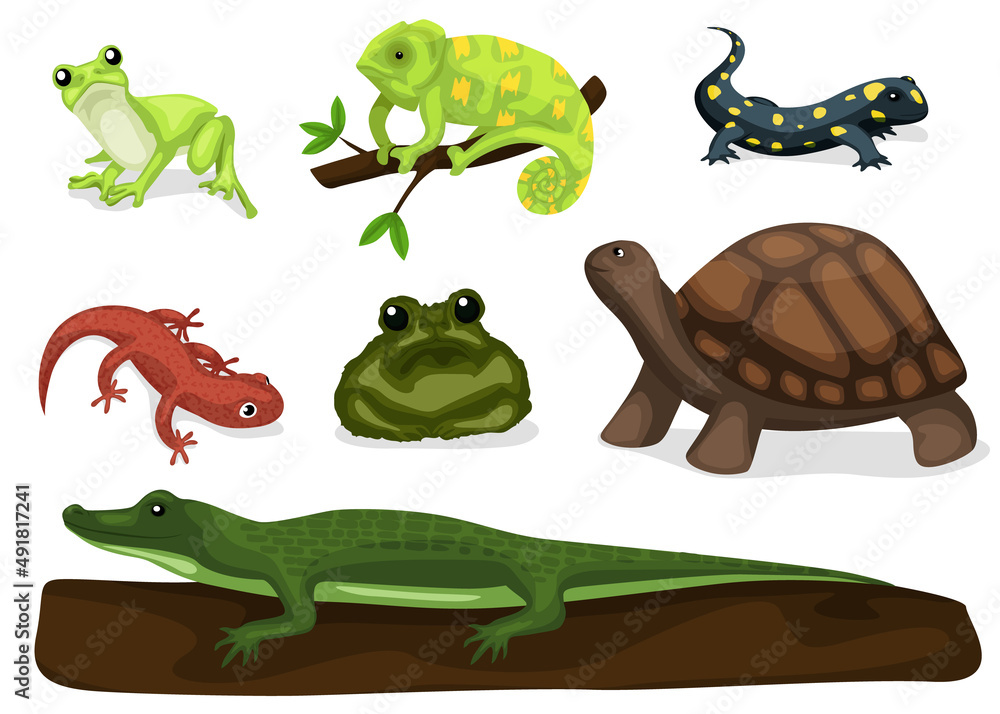 Reptiles and amphibians. Cartoon frog, chameleon, crocodile, lizard and ...