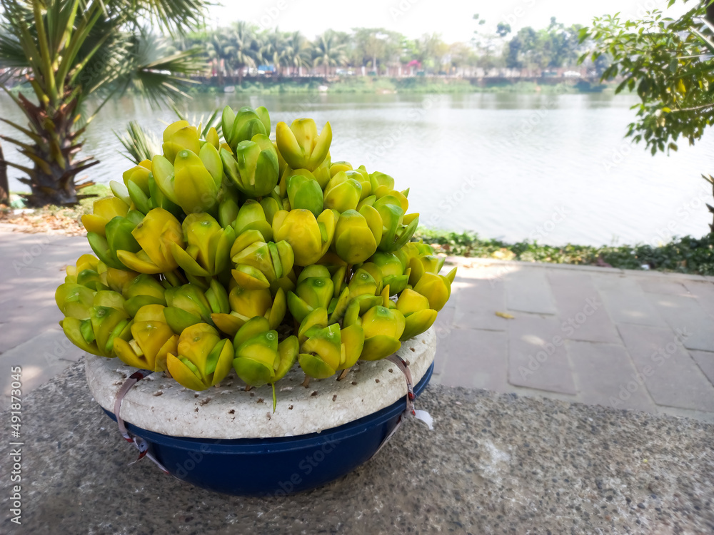 Spondias mombin, also known as yellow mombin or hog plum, Street food ...