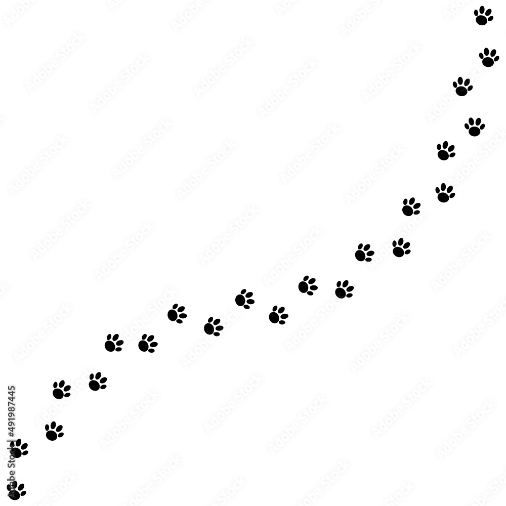 Paw print trail isolated on white background Stock Vector | Adobe Stock