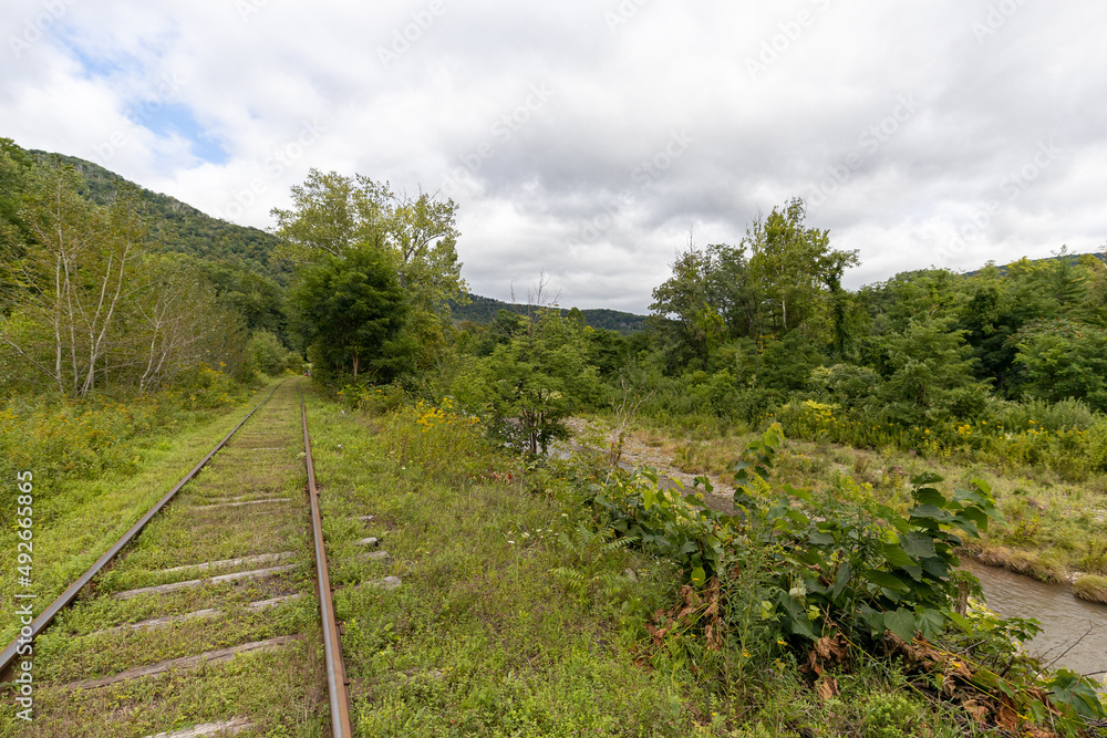 Abandoned, overgrown railroad train tracks along a rural river ...