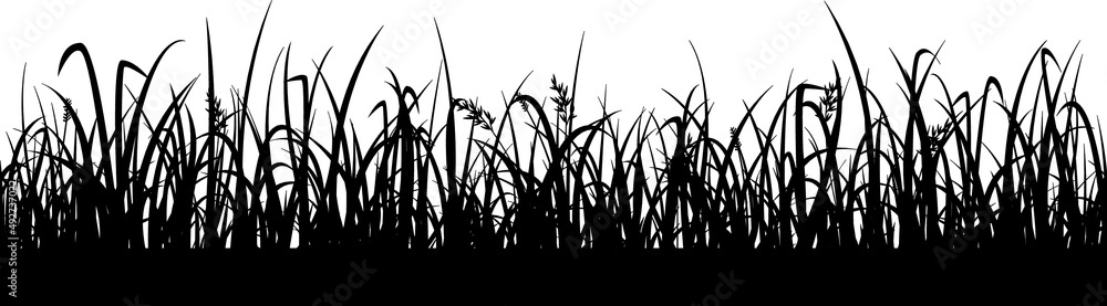 Grass Illustrations Grass SVG EPS PNG Stock Vector | Adobe Stock