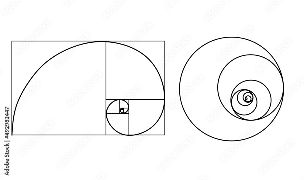 thin line Golden ratio template vector, Divine Proportions, Golden ...
