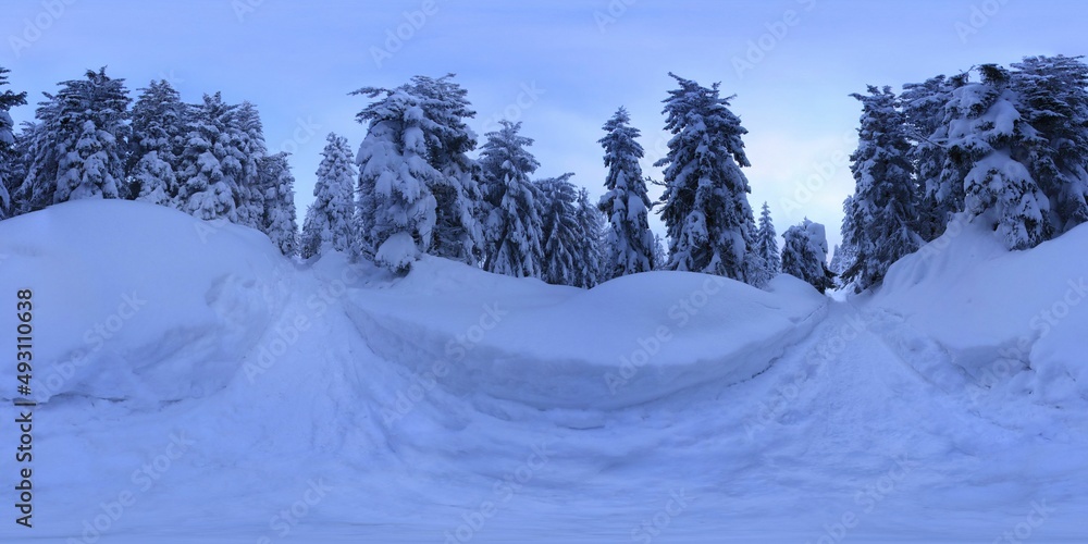 Snowy Forest in Winter HDRI Panorama Stock Photo | Adobe Stock