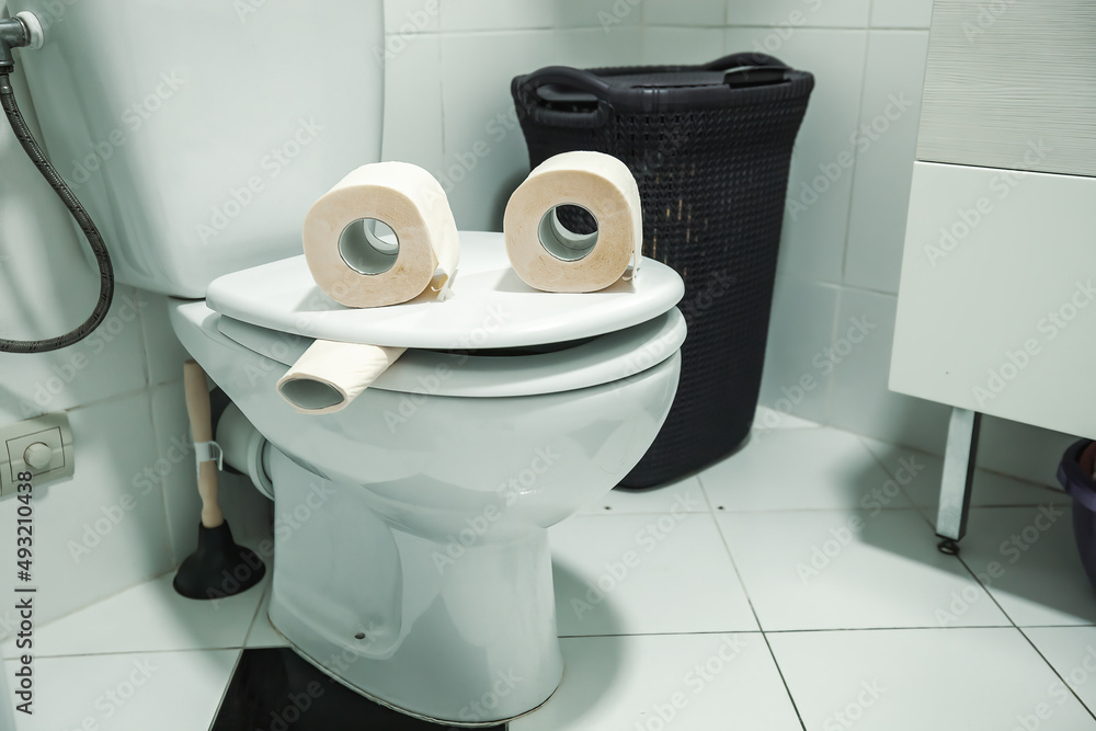 Funny smoke face made from toilet paper rolls on toilet bowl. Home ...