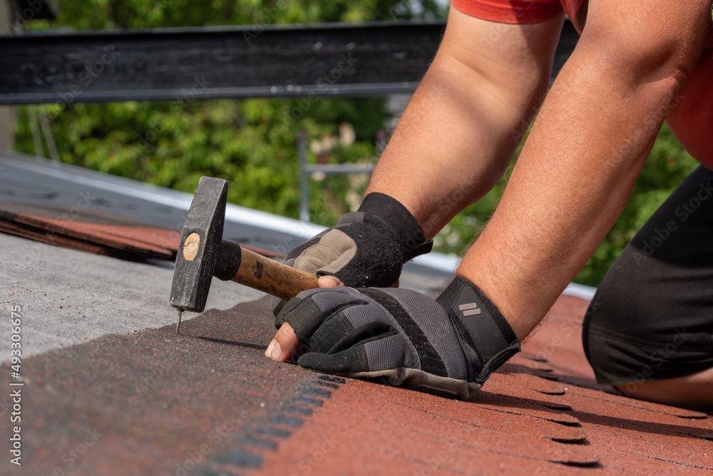 Roofer hands installing bitumen roof shingles using hammer in nails ...
