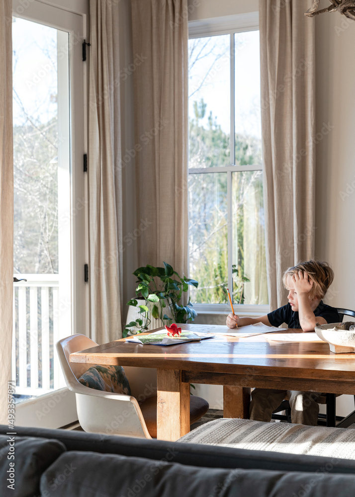 Little boy doing homework at dining room table Stock Photo | Adobe Stock