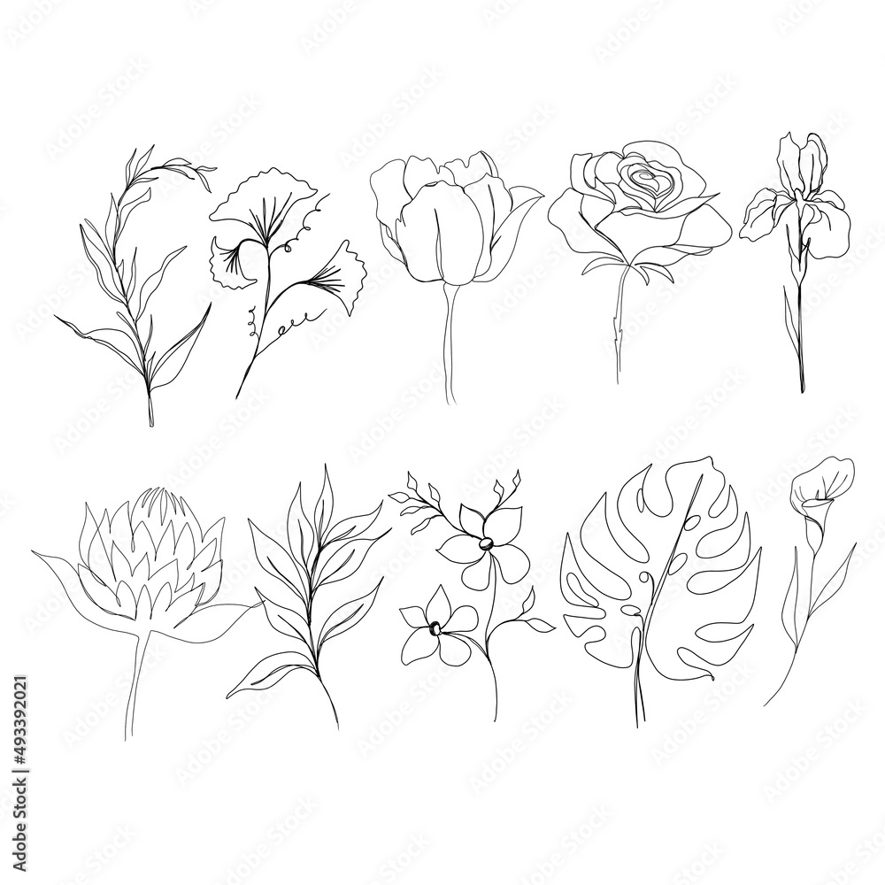 large set of plants and flowers line art. big set of line art of ...